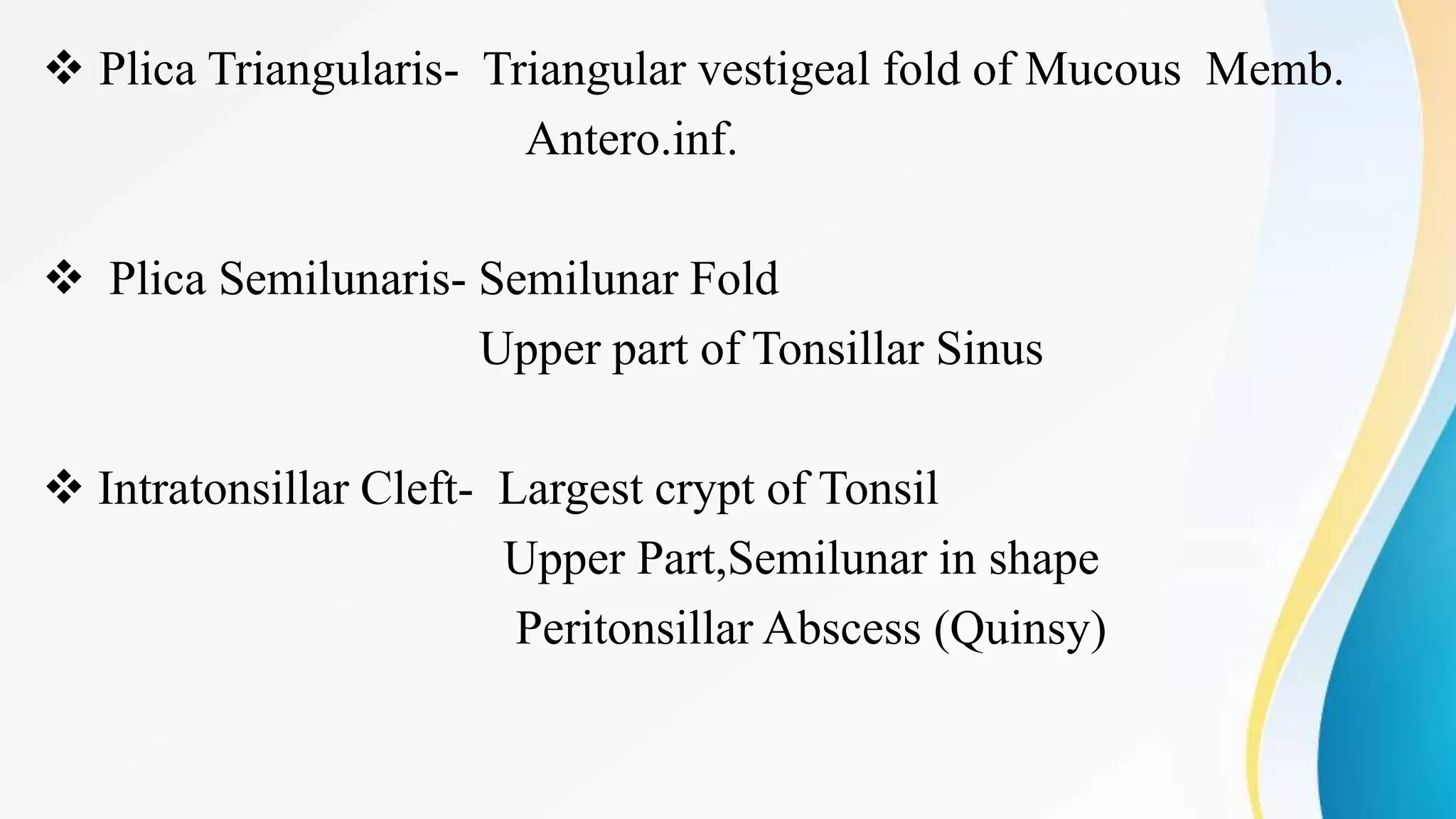 Anatomy of pharynx | PPTX