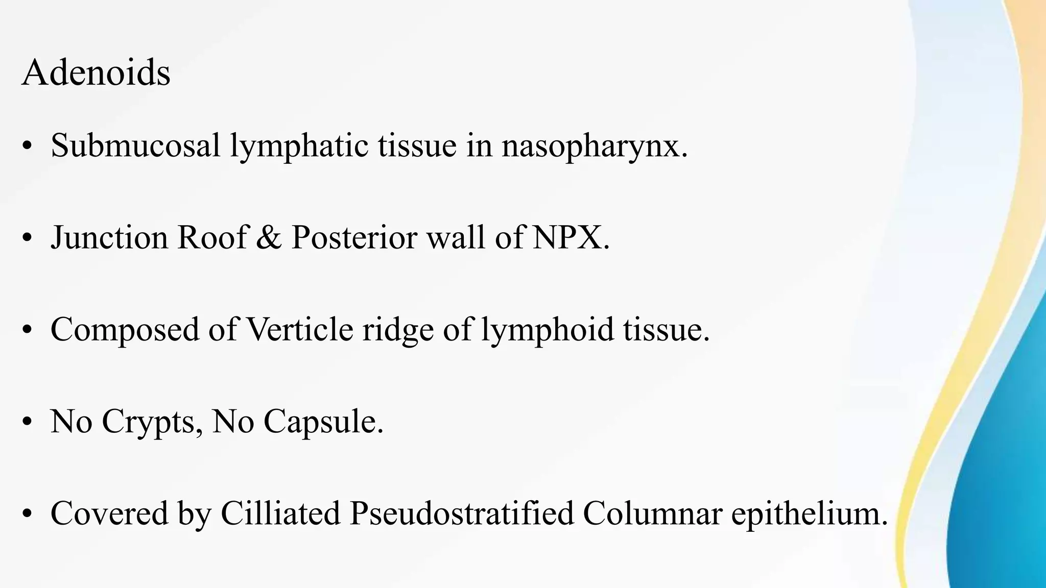 Anatomy of pharynx | PPTX