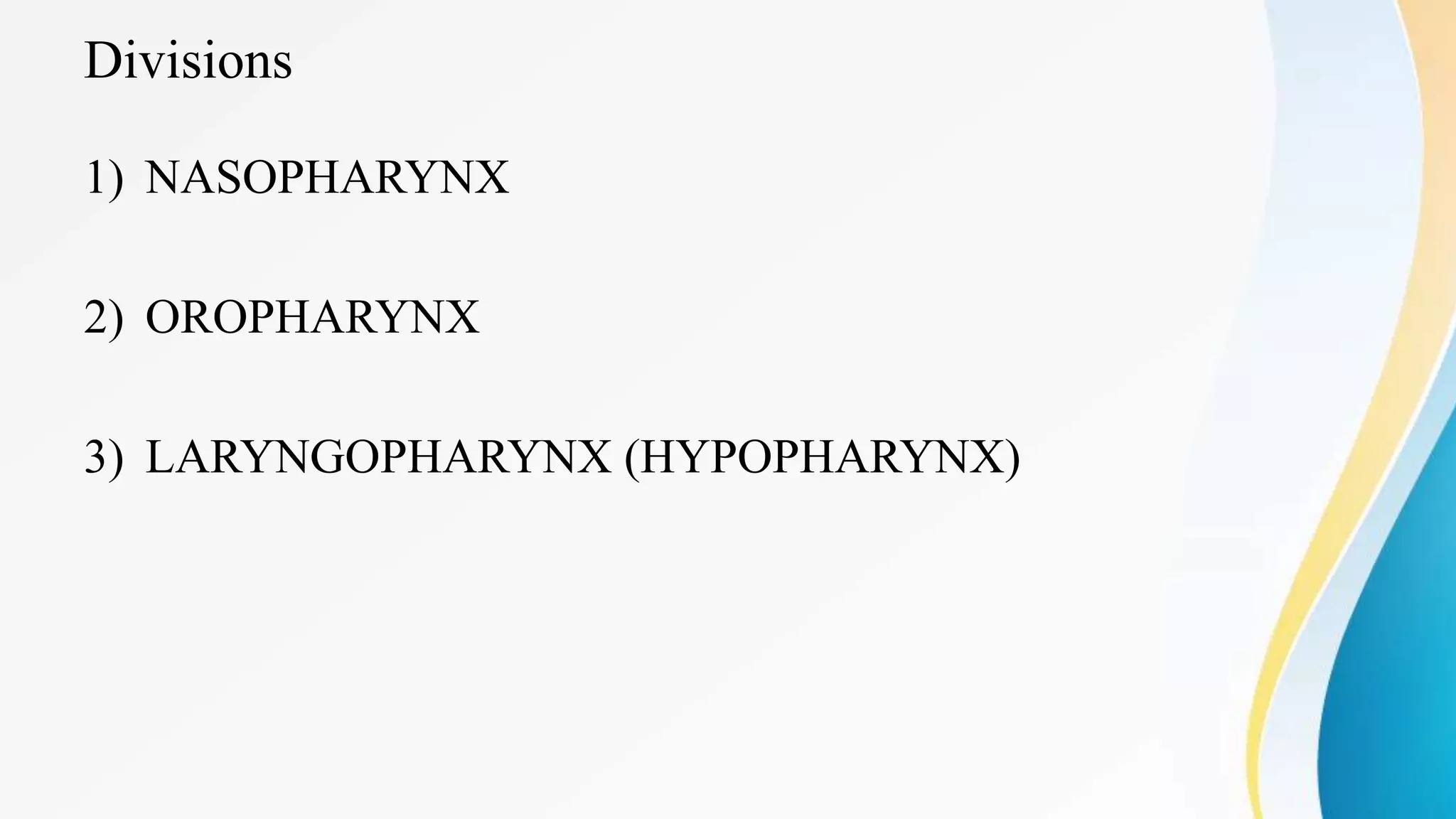Anatomy of pharynx | PPTX