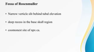 Anatomy of pharynx | PPTX