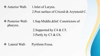 Anatomy of pharynx | PPTX