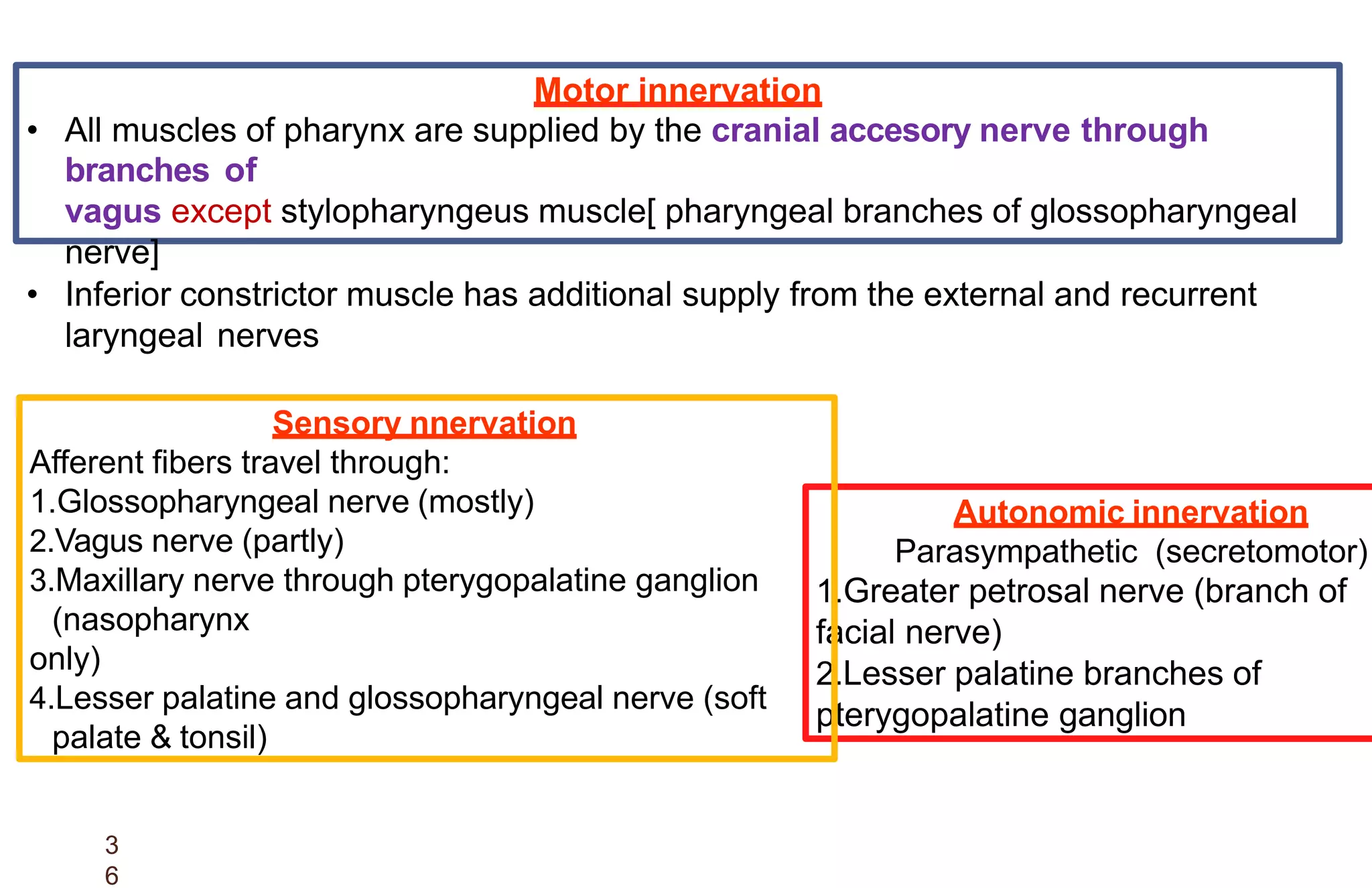 Anatomy of Pharynx | PPTX