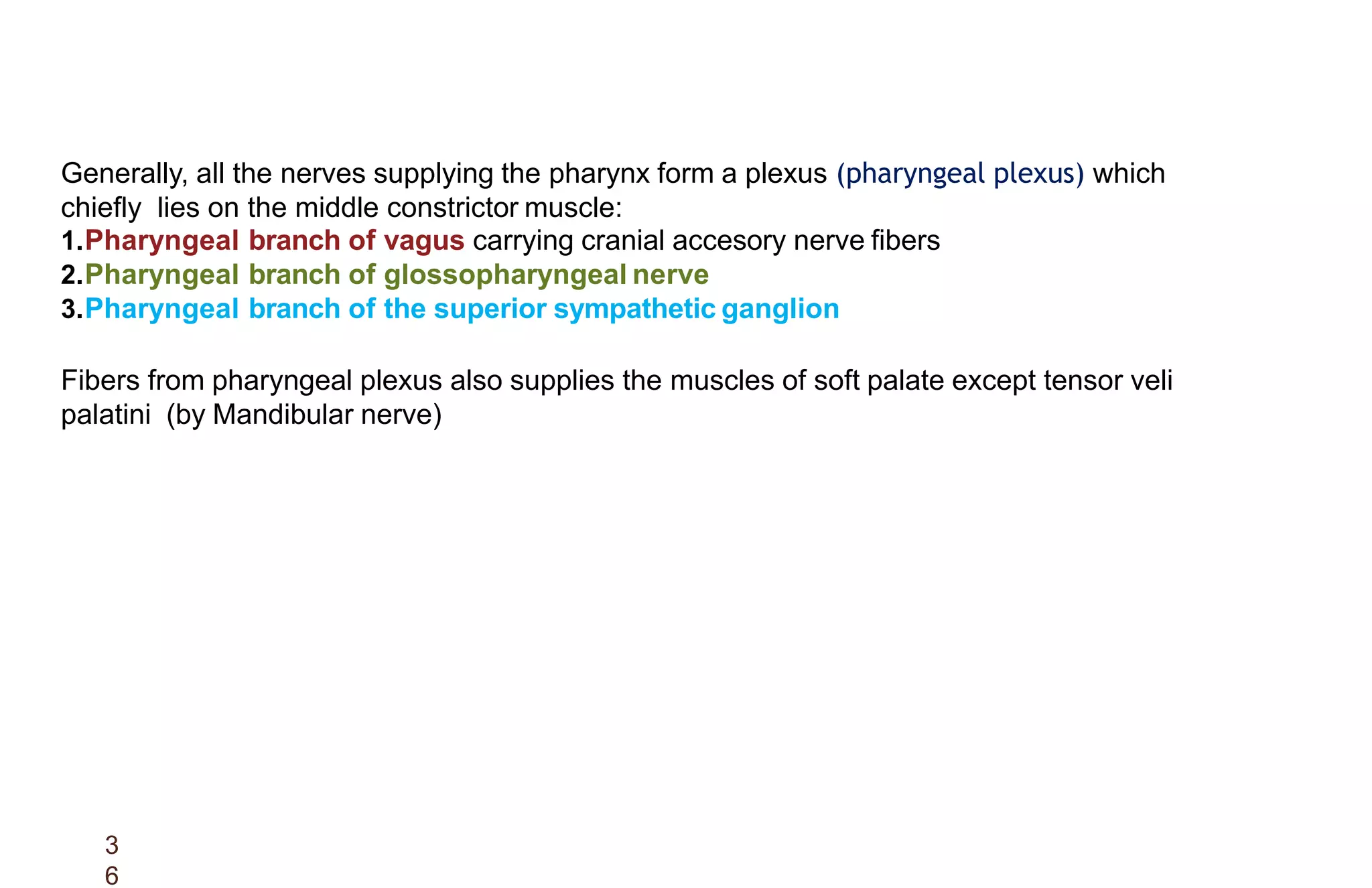 Anatomy of Pharynx | PPTX
