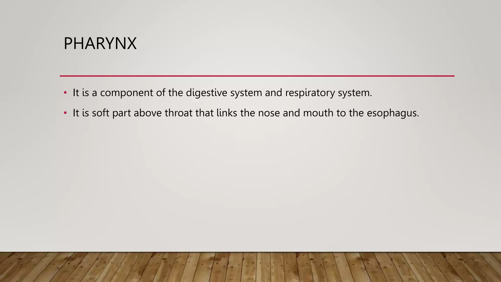 ANATOMY OF PHARYNX.pptx