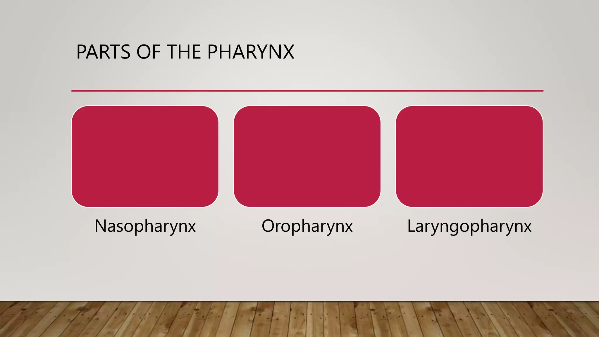 ANATOMY OF PHARYNX.pptx