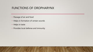 ANATOMY OF PHARYNX.pptx