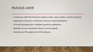 ANATOMY OF PHARYNX.pptx