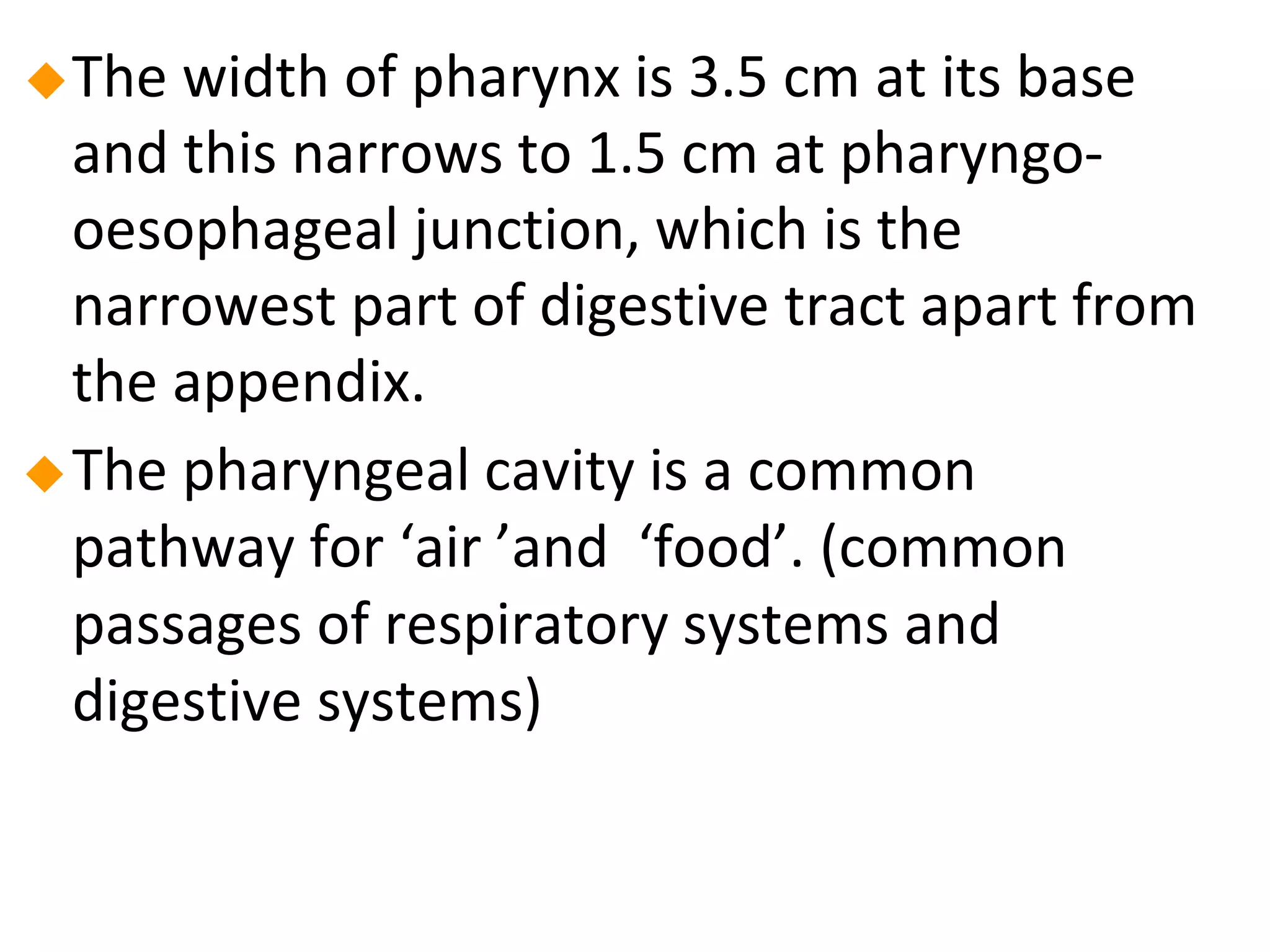 anatomy of pharynx.pptx