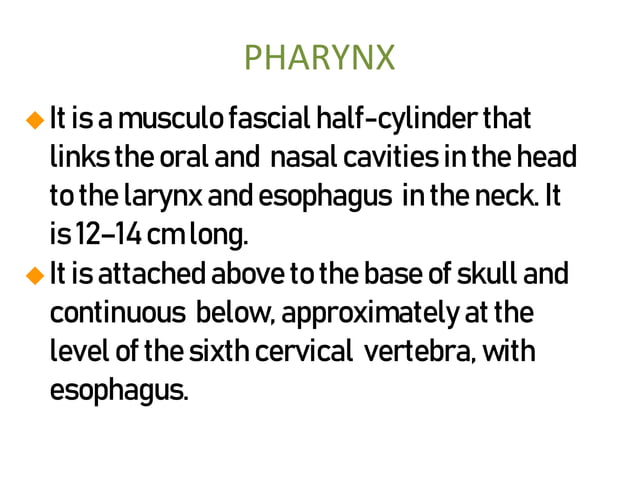 anatomy of pharynx.pptx