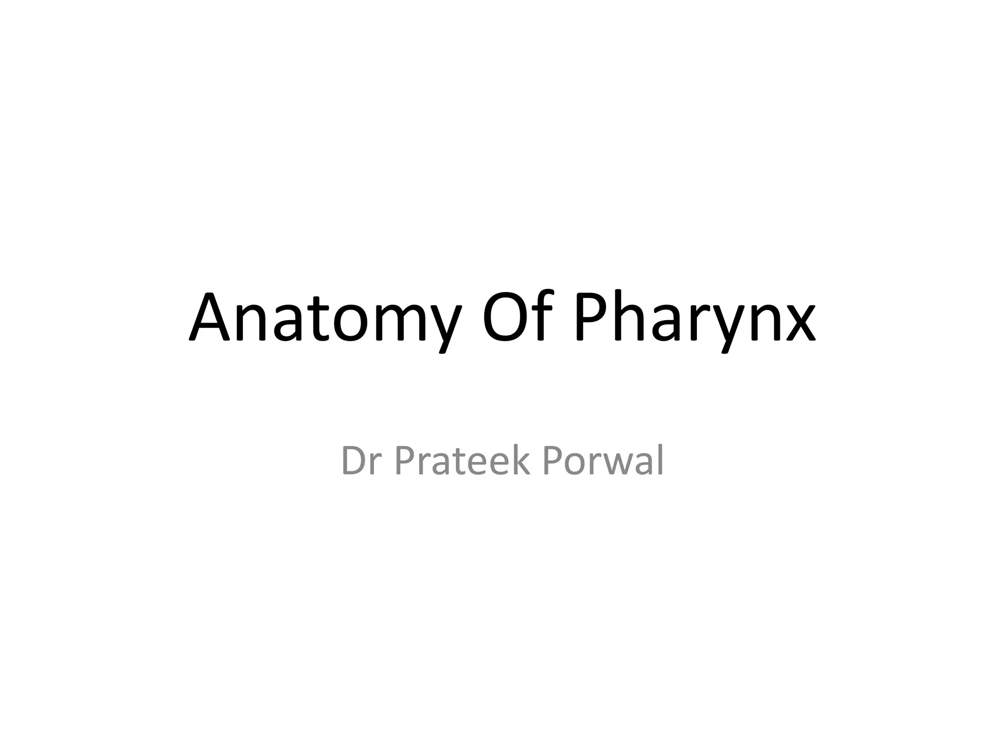 anatomy of pharynx of the head and neck of the parts | PPT