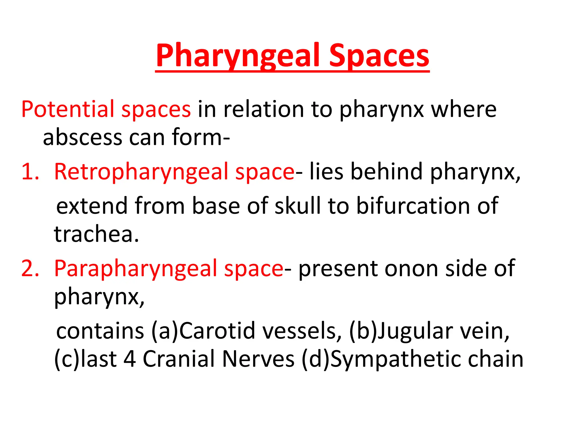 anatomy of pharynx of the head and neck of the parts | PPT