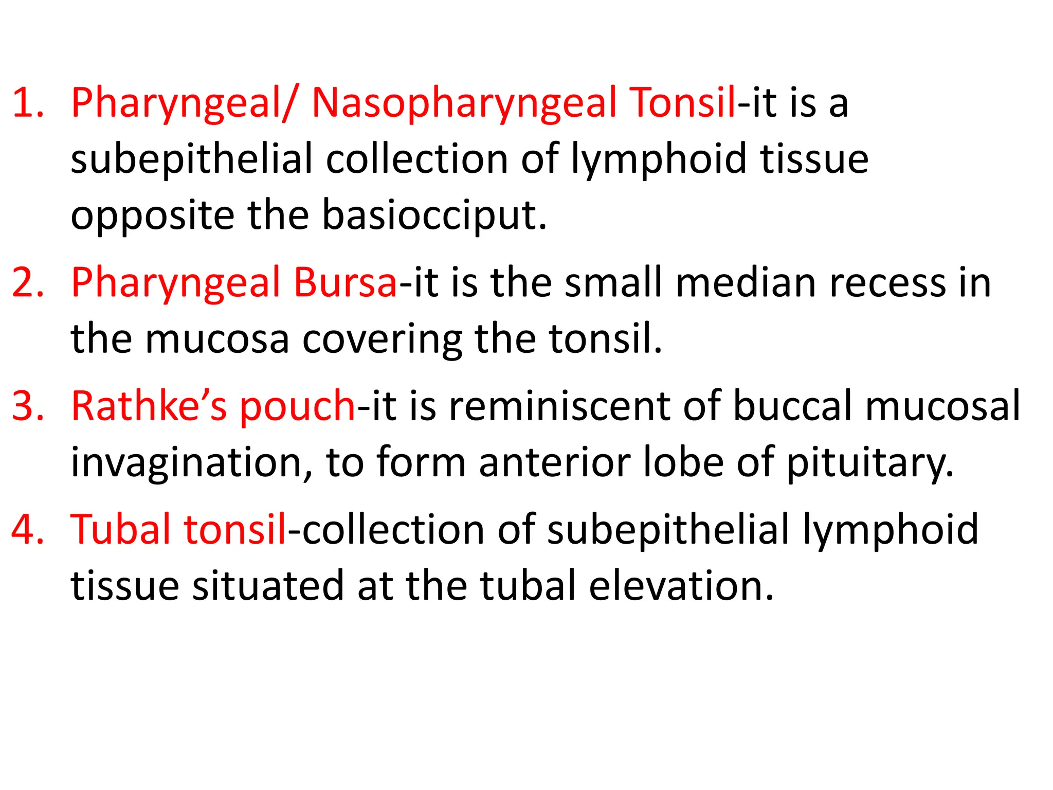 anatomy of pharynx of the head and neck of the parts | PPTX