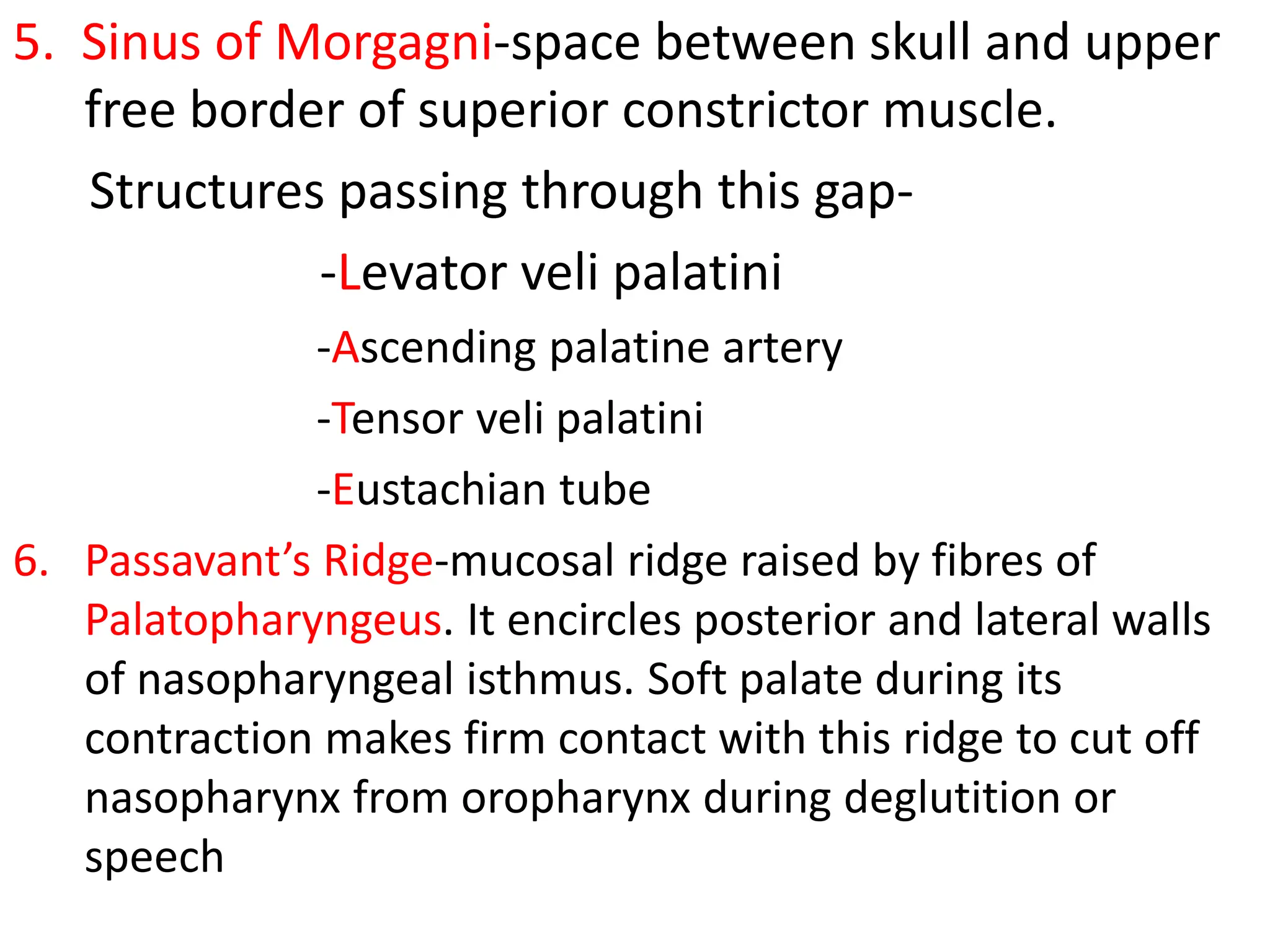 anatomy of pharynx of the head and neck of the parts | PPTX