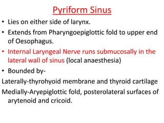 anatomy of pharynx of the head and neck of the parts | PPT