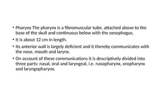 THE ANATOMY OF PHARYNX PRESENTATION.pptx