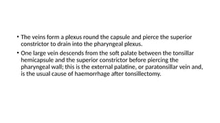 THE ANATOMY OF PHARYNX PRESENTATION.pptx