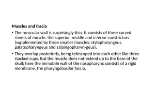 THE ANATOMY OF PHARYNX PRESENTATION.pptx