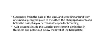 THE ANATOMY OF PHARYNX PRESENTATION.pptx