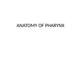 ANATOMY OF PHARYNX pptx presentation ppt | PPT