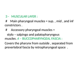 ANATOMY OF PHARYNX pptx presentation ppt | PPT