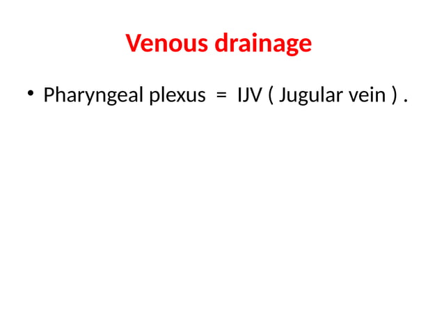 ANATOMY OF PHARYNX pptx presentation ppt | PPT