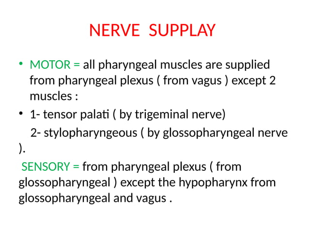 ANATOMY OF PHARYNX pptx presentation ppt | PPT