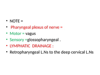 ANATOMY OF PHARYNX pptx presentation ppt | PPTX