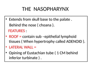 ANATOMY OF PHARYNX pptx presentation ppt | PPTX