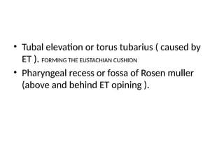 ANATOMY OF PHARYNX pptx presentation ppt | PPTX