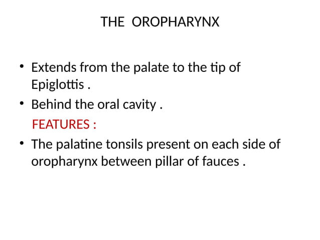 ANATOMY OF PHARYNX pptx presentation ppt | PPT