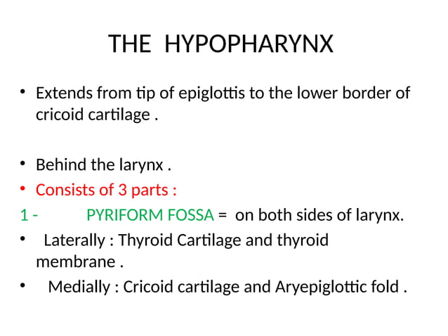 ANATOMY OF PHARYNX pptx presentation ppt | PPT