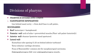 ANATOMY OF PHARYNX game changer for students.pptx
