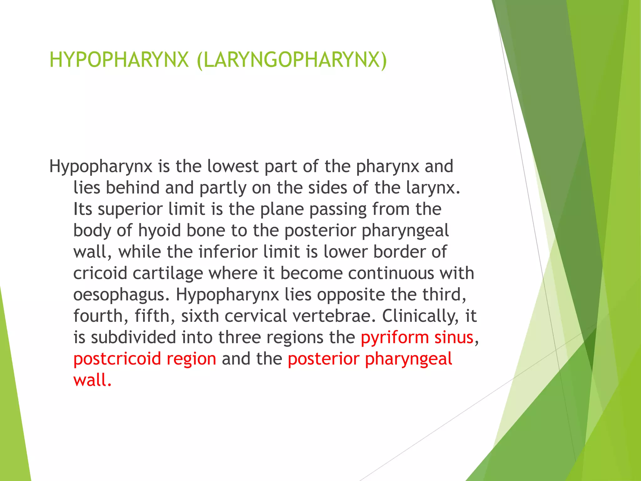 Anatomy of pharynx | PPTX
