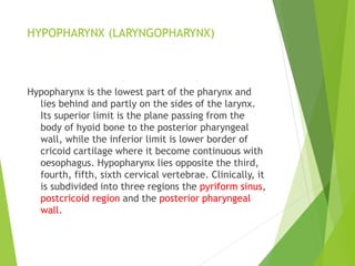 Anatomy of pharynx | PPTX