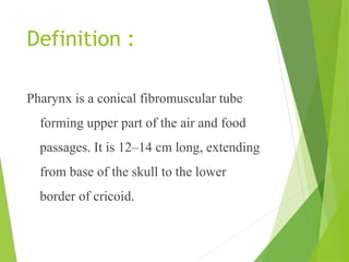Pharynx Definition