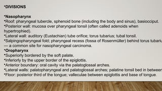Anatomy of Pharynx discussed in detail.pptx