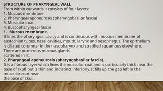 Anatomy of Pharynx discussed in detail.pptx