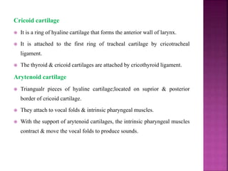 Anatomy of pharynx and larynx | PPT