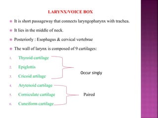 Anatomy of pharynx and larynx | PPT