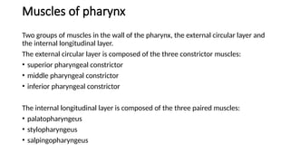 ANATOMY OF PHARYNX AND LARYNX.pptx