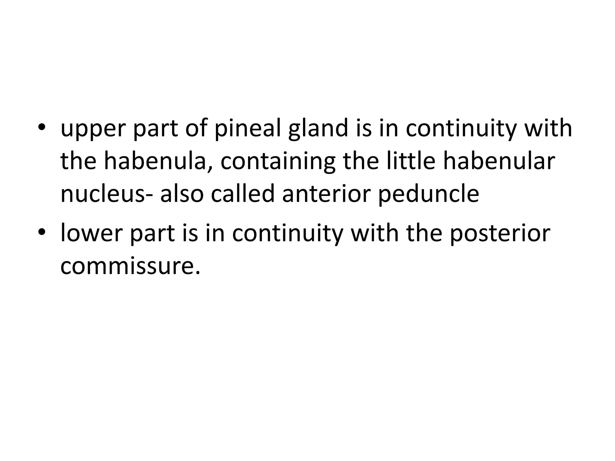 Anatomy of Pineal Gland | PPTX