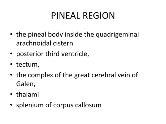 Anatomy of Pineal Gland | PPTX