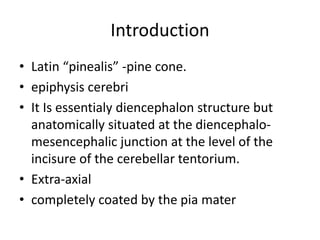 Anatomy of Pineal Gland | PPTX