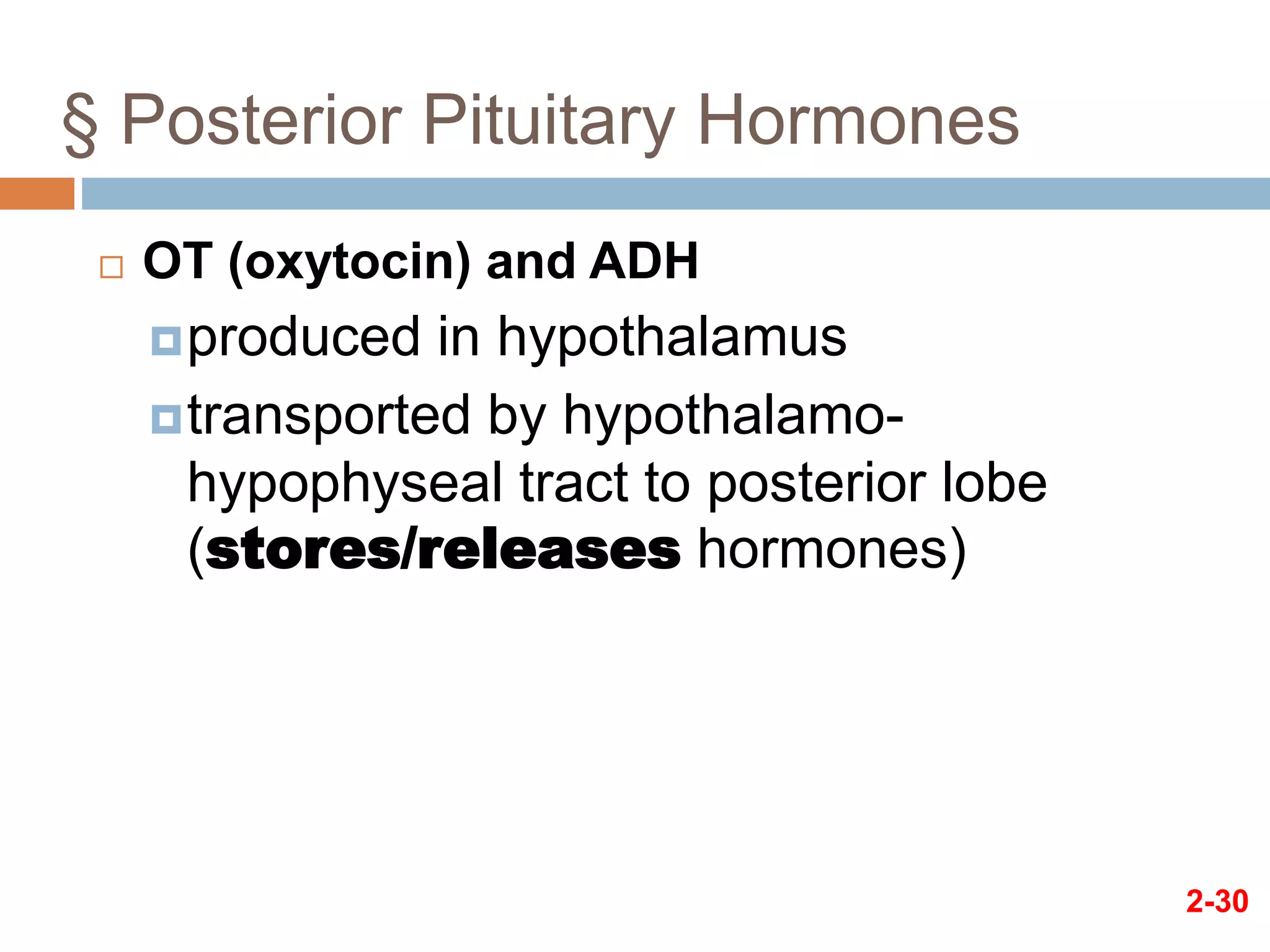 Anatomy of pituitary gland | PPTX