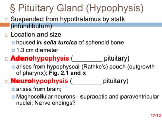 Anatomy of pituitary gland | PPTX