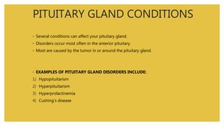 Anatomy of pituitary gland | PPTX