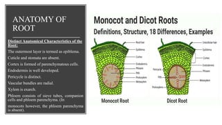 Anatomy of plant parts by BNP.pdf