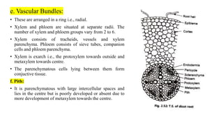 Anatomy of plant parts by BNP.pdf