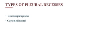 Pleural Anatomy & Brochopulmonary Segments.pptx