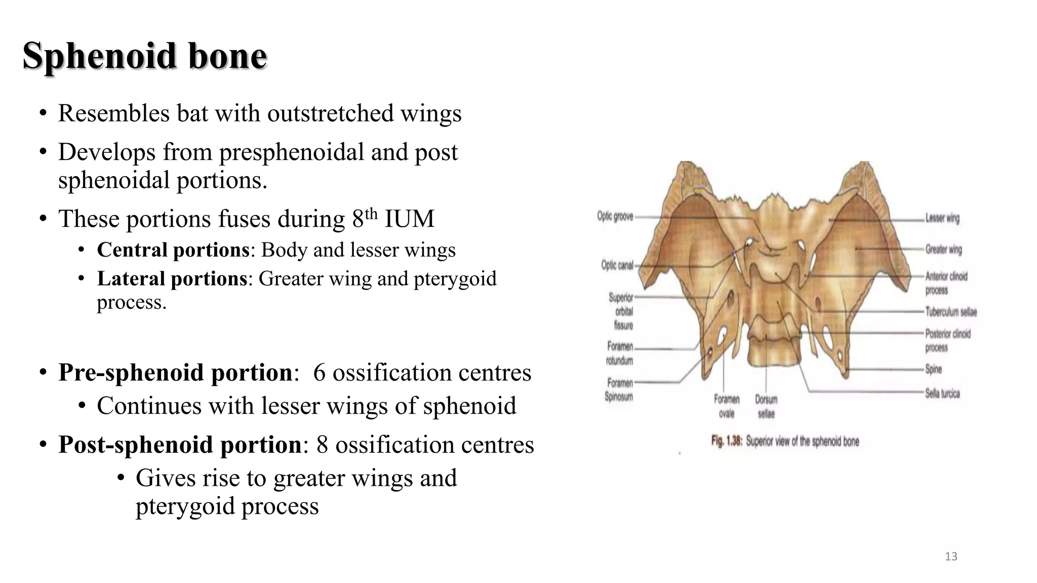 Anatomy of pns | PPTX